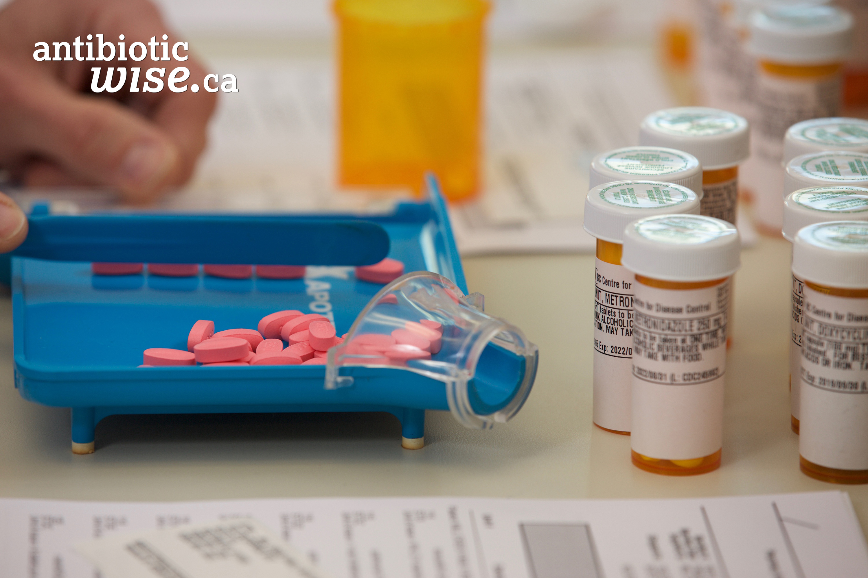 Be antibiotic wise: Combatting antimicrobial resistance in B.C. | College of Pharmacists of ...